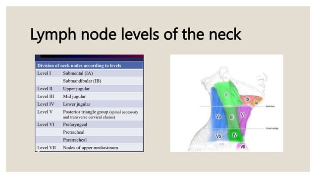 PAEDIATRIC MASSES OF THE NECK..pptx