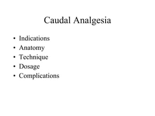 Paediatric Neural Blockade | PPT