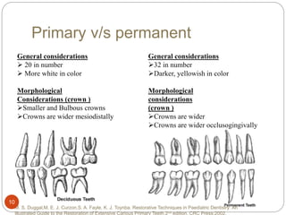 Paediatric operative dentistry | PPTX