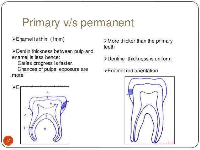 Paediatric operative dentistry