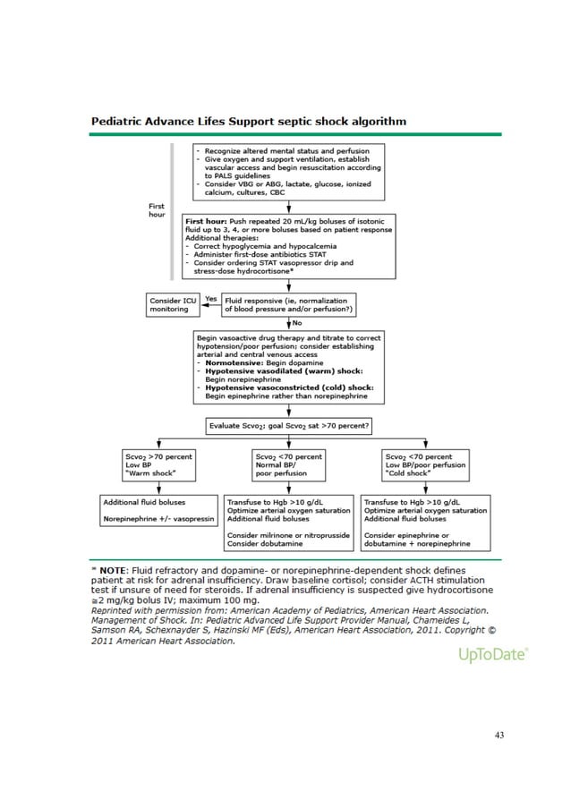 Paediatric protocol 2014 | PDF