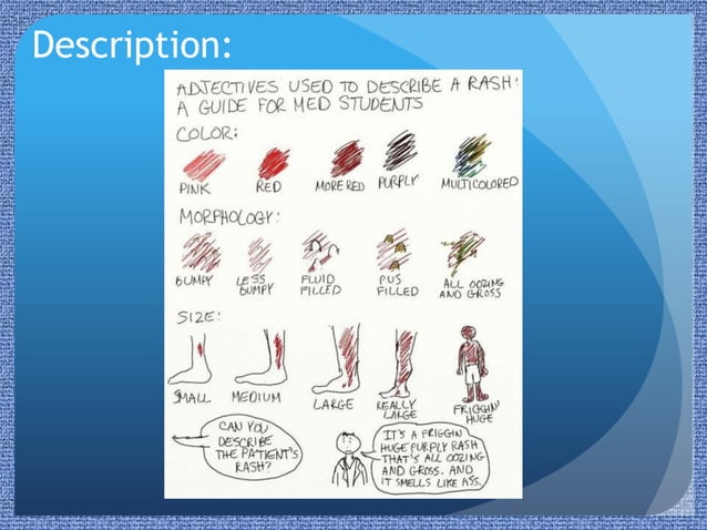 Paediatric Rashes | PPTX | Infectious Diseases | Diseases and Conditions