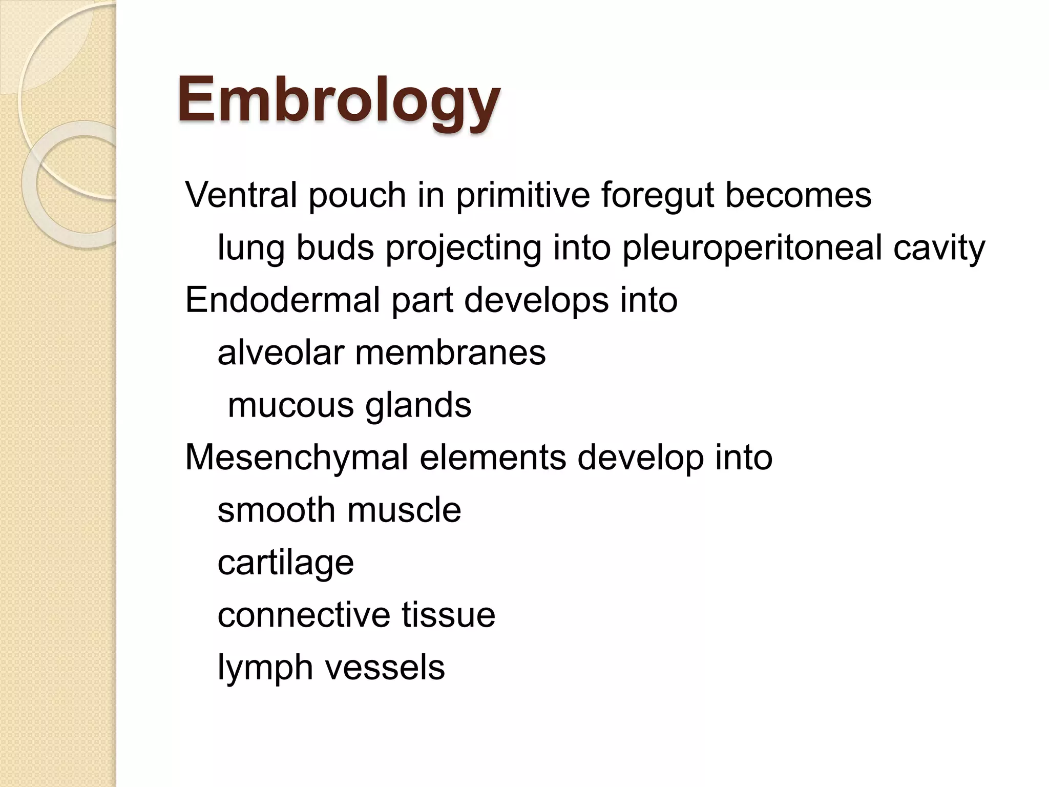 Paediatric respiratory physiology | PPTX