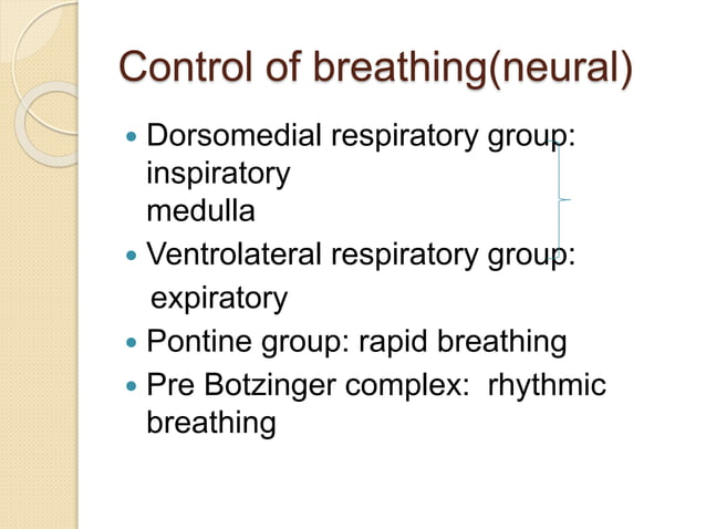 Paediatric respiratory physiology | PPTX