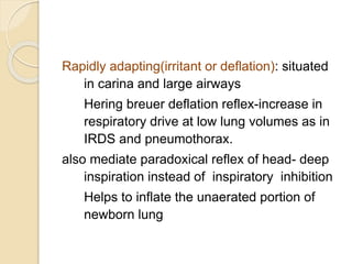 Paediatric respiratory physiology | PPTX