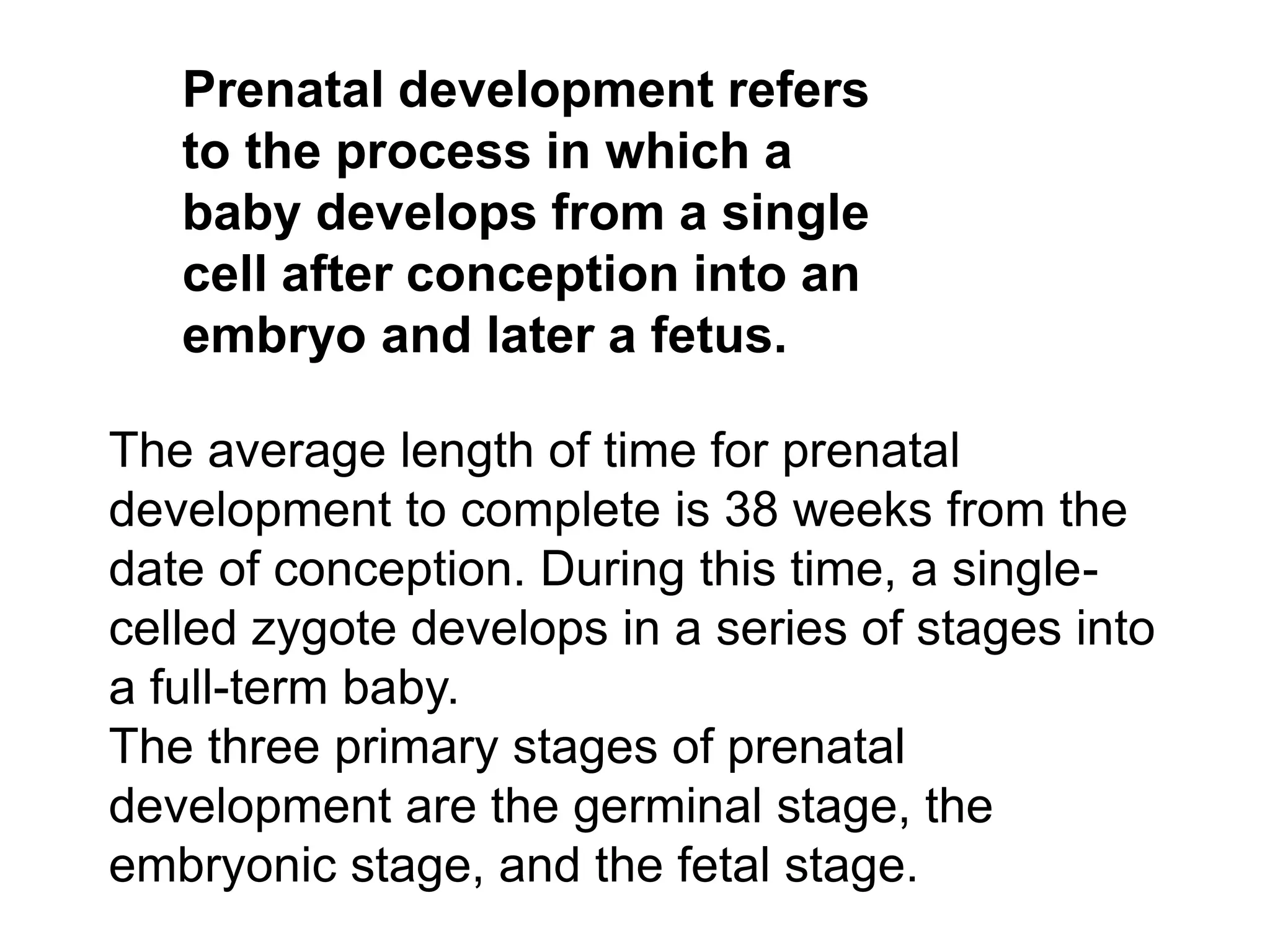 pre natal development | PPT