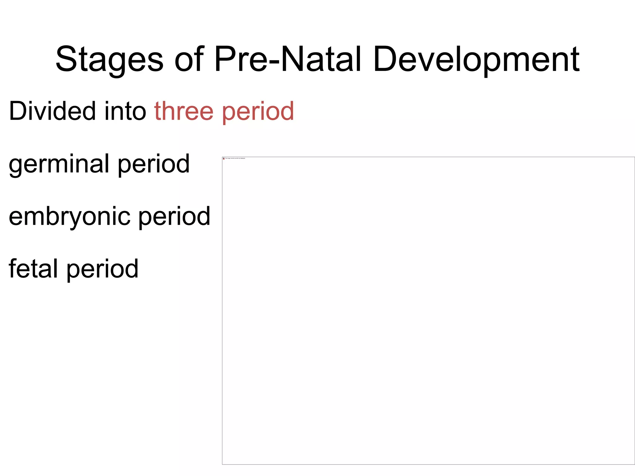 pre natal development | PPT