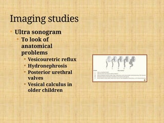 Understanding Pediatric Urinary Tract Infections: Causes, Symptoms, and ...