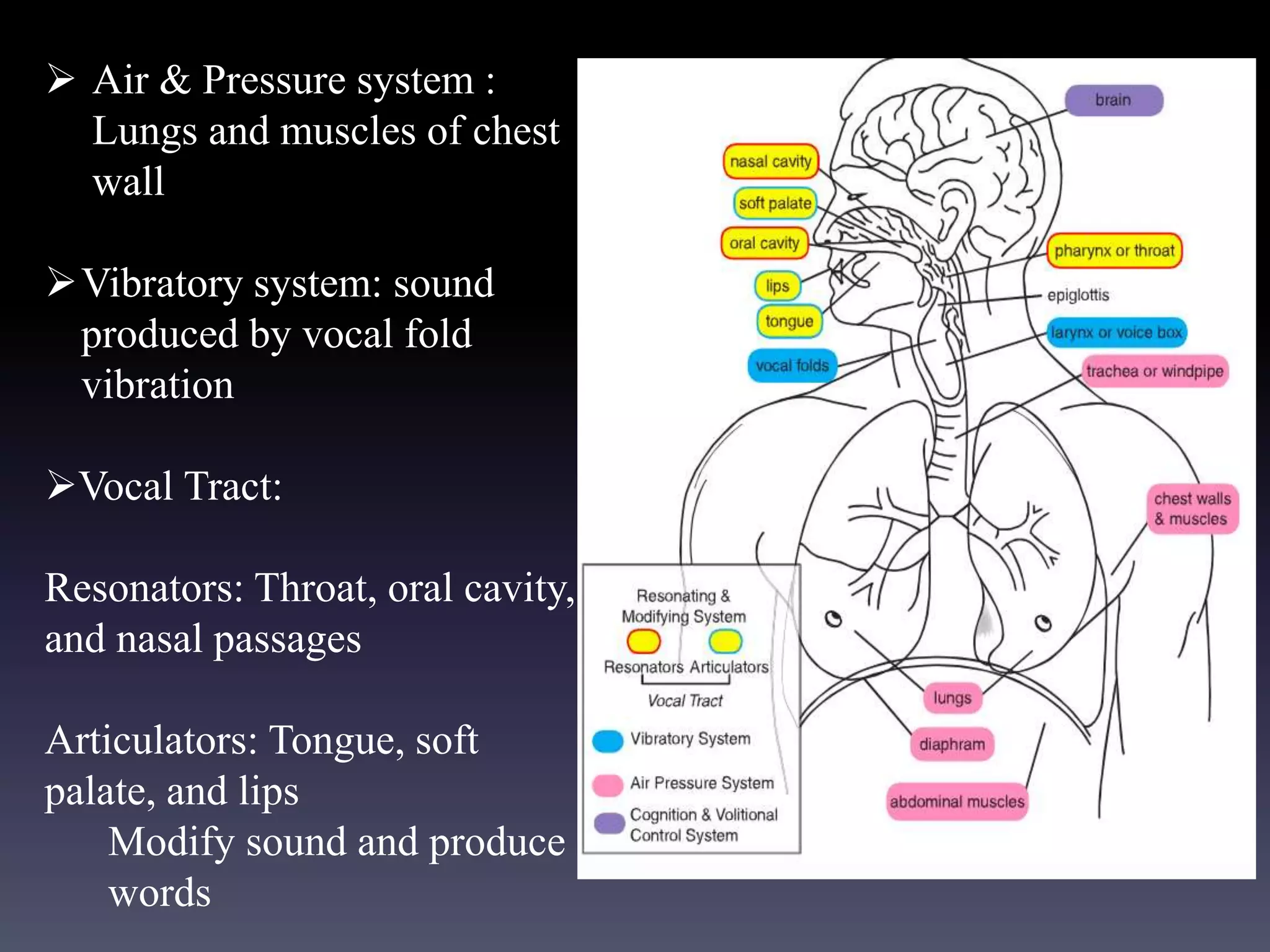 Paediatric voice disorders | PPTX