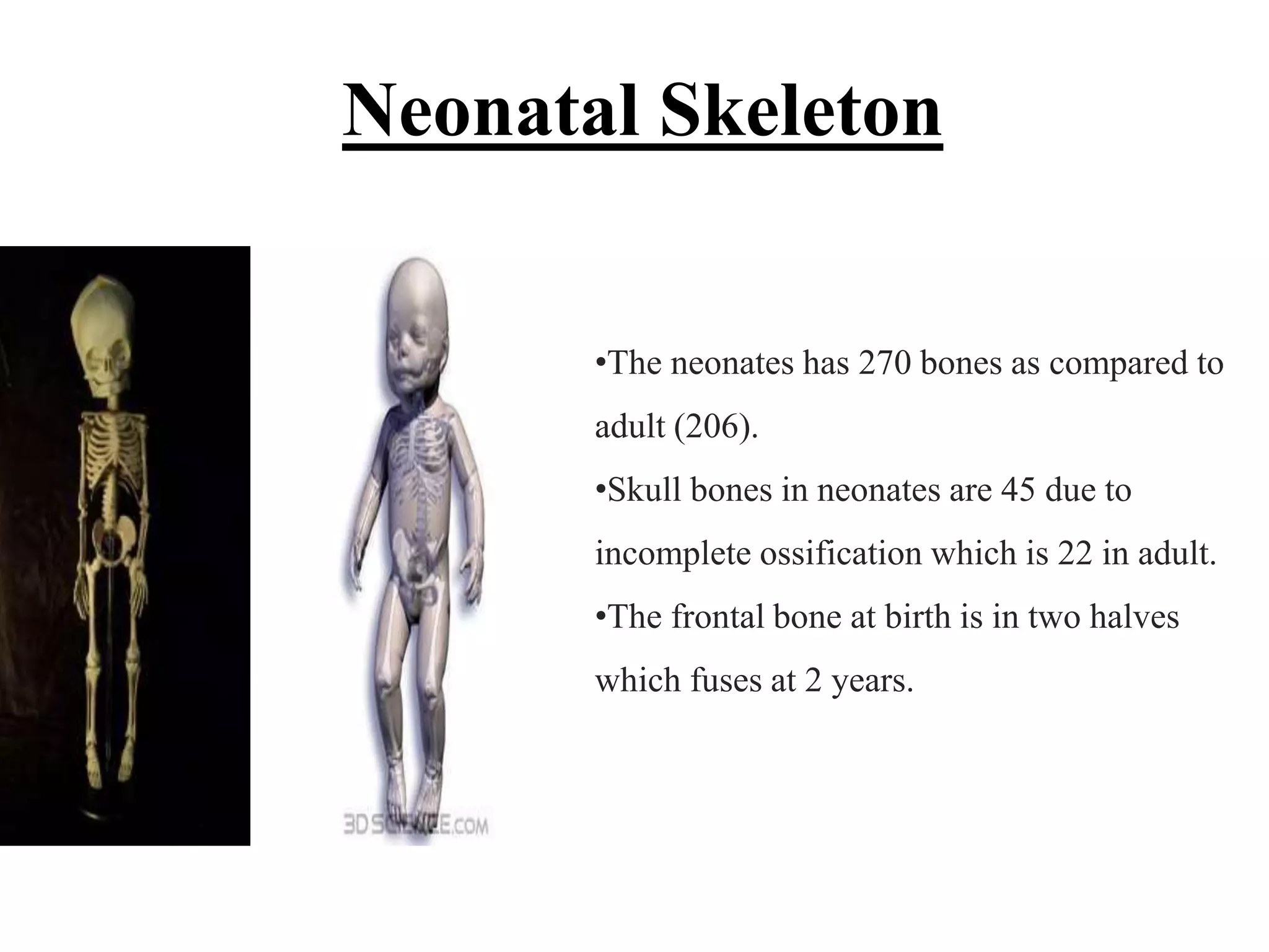 Paedologic anatomy | PPT