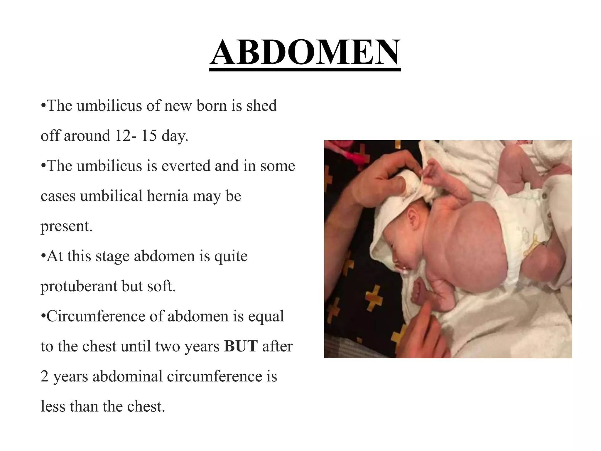 Paedologic anatomy | PPT