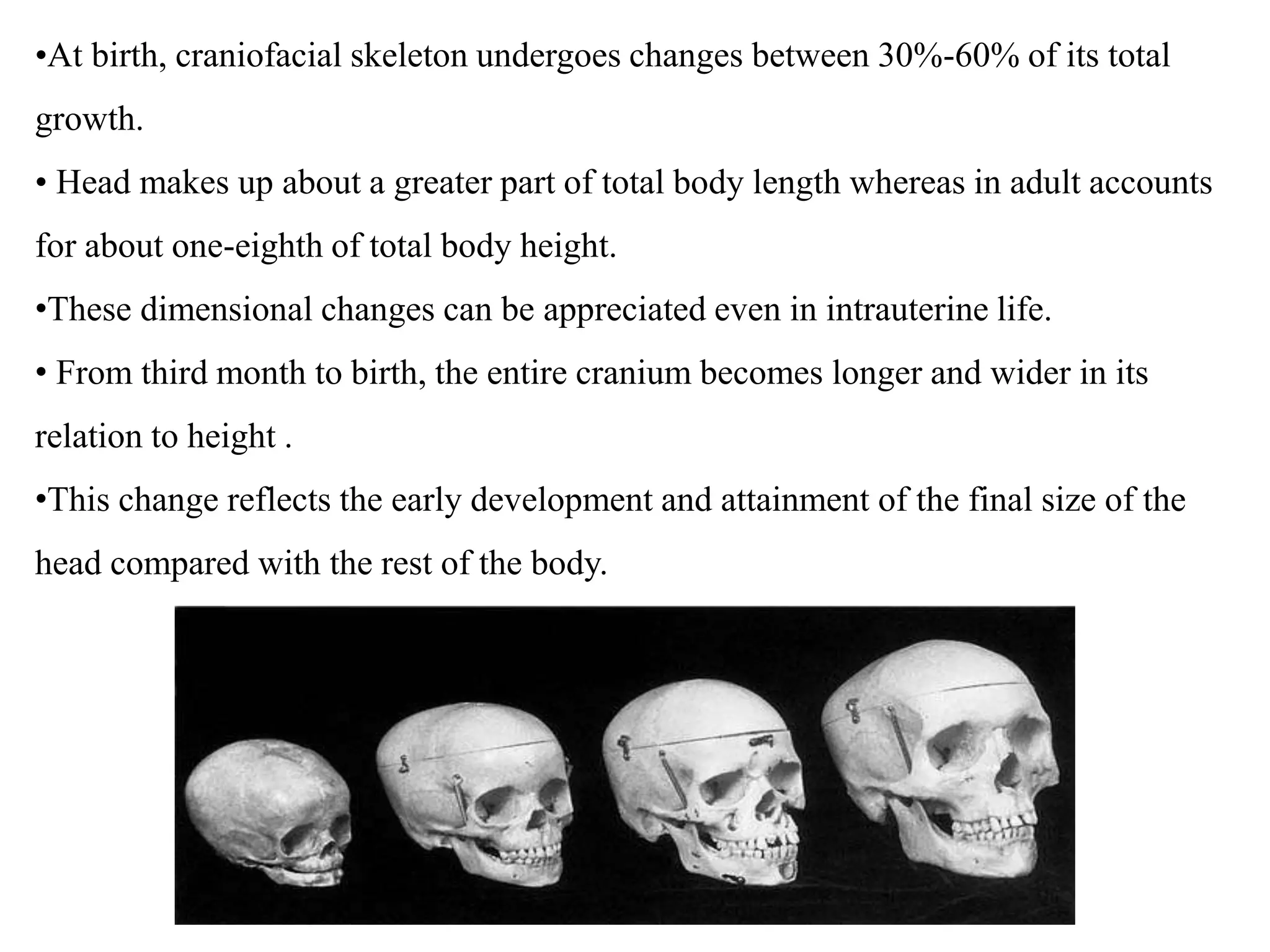 Paedologic anatomy | PPT