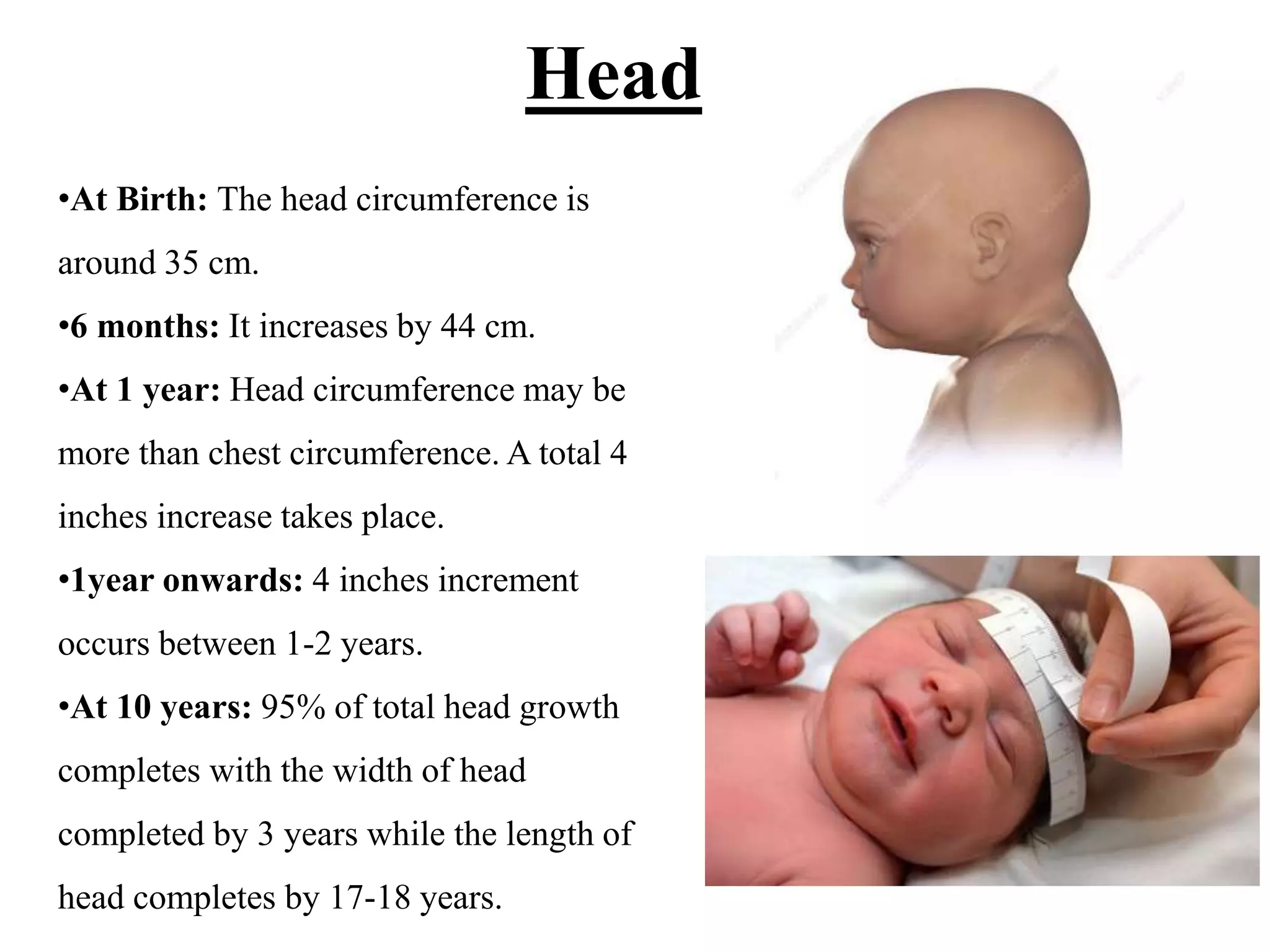 Paedologic anatomy | PPT