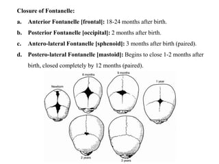Paedologic anatomy | PPT