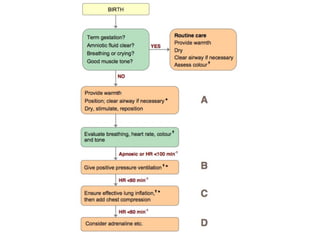 Paed resus in_retrieval.key