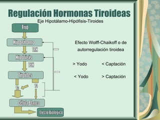 Cuidados Enfermeria en Alteraciones Tiroideas | PPT