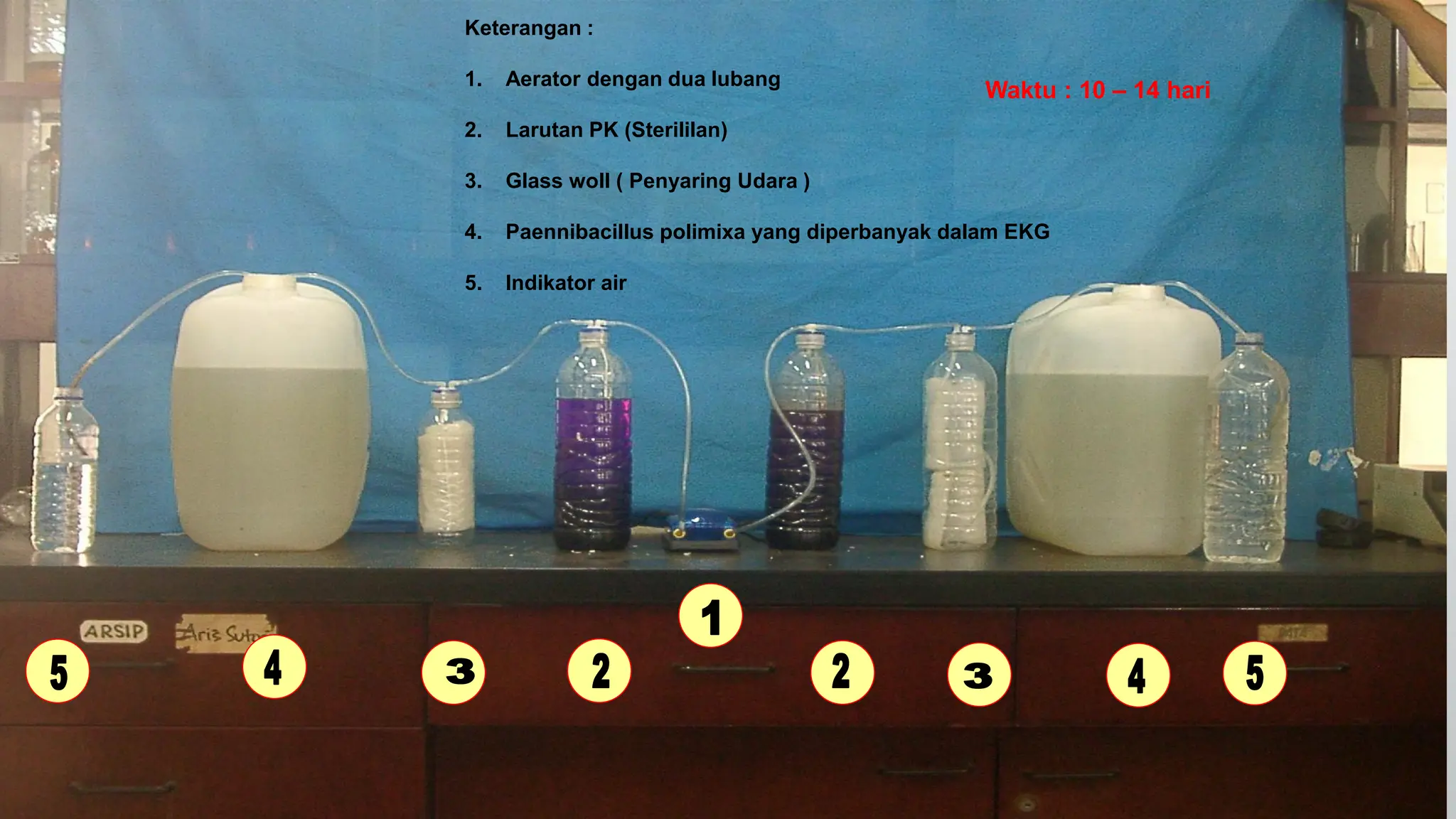 perbanyakan bakteri Paenibacillus polymyxa | PDF