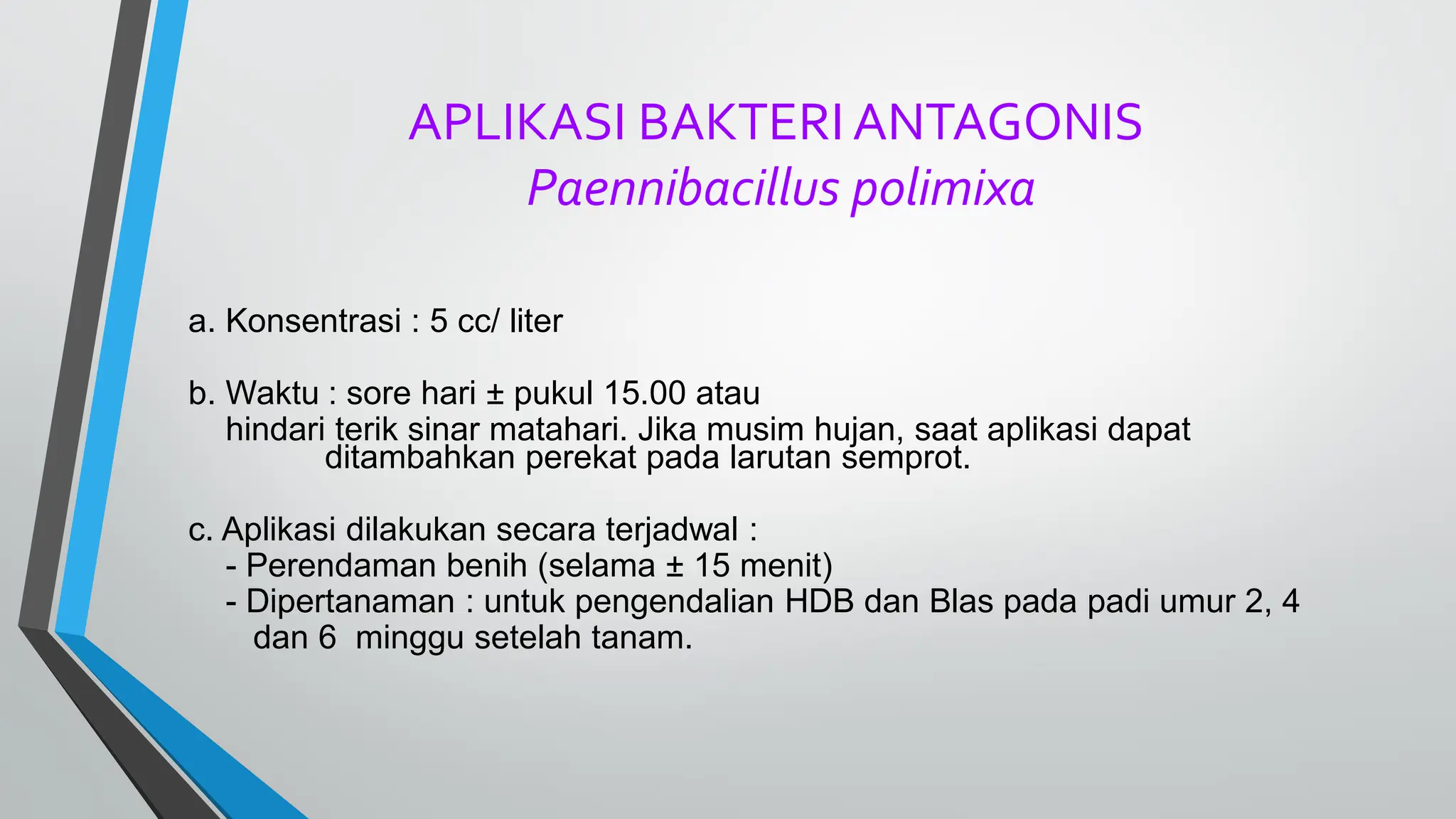 perbanyakan bakteri Paenibacillus polymyxa | PDF