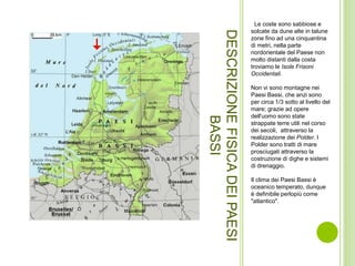 paesi_bassi.pptx