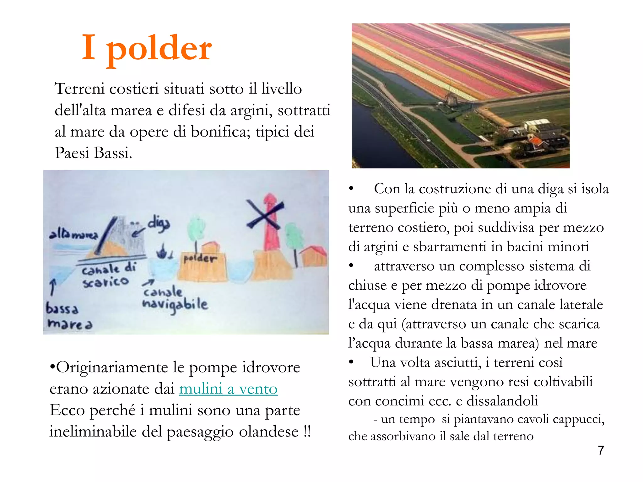 Nicolò Esposito presenta: La Geografia dei Paesi Bassi | PPT