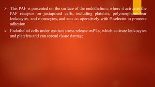 Platelet activating factor-Paf by sid | PPTX