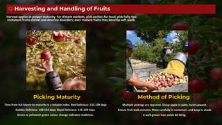 pafp.pdf productions technology for fruits and vegetables | PDF
