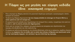 H ΠΑΦΡΑ ΤΟΥ ΠΟΝΤΟΥ | PPT