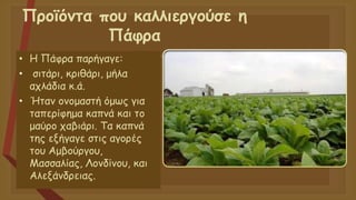 Πάφρα-Παύρα ή Μπάφρα η χώρα των γενναίων | PPT