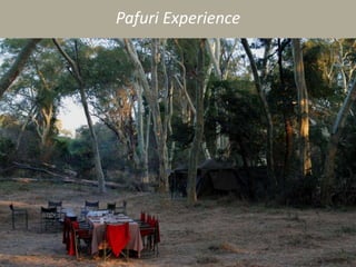 Pafuri cross border trail, Piet Theron & Lamson Maluleke | PPTX