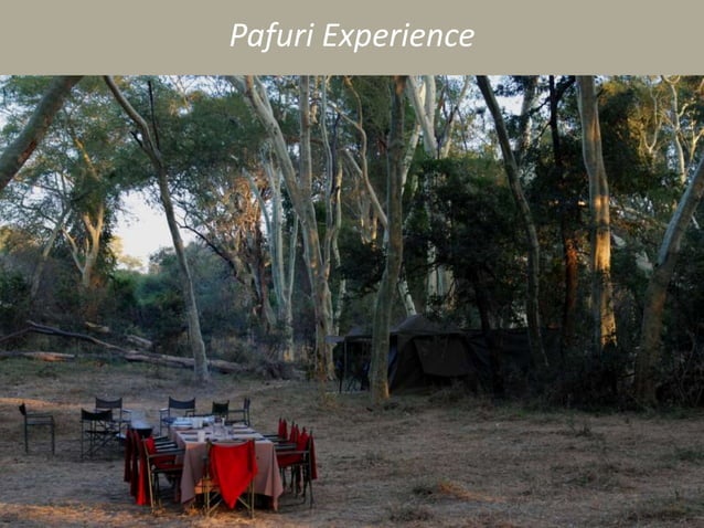 Pafuri cross border trail, Piet Theron & Lamson Maluleke | PPTX