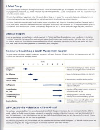 Professionals Alliance Group | PDF
