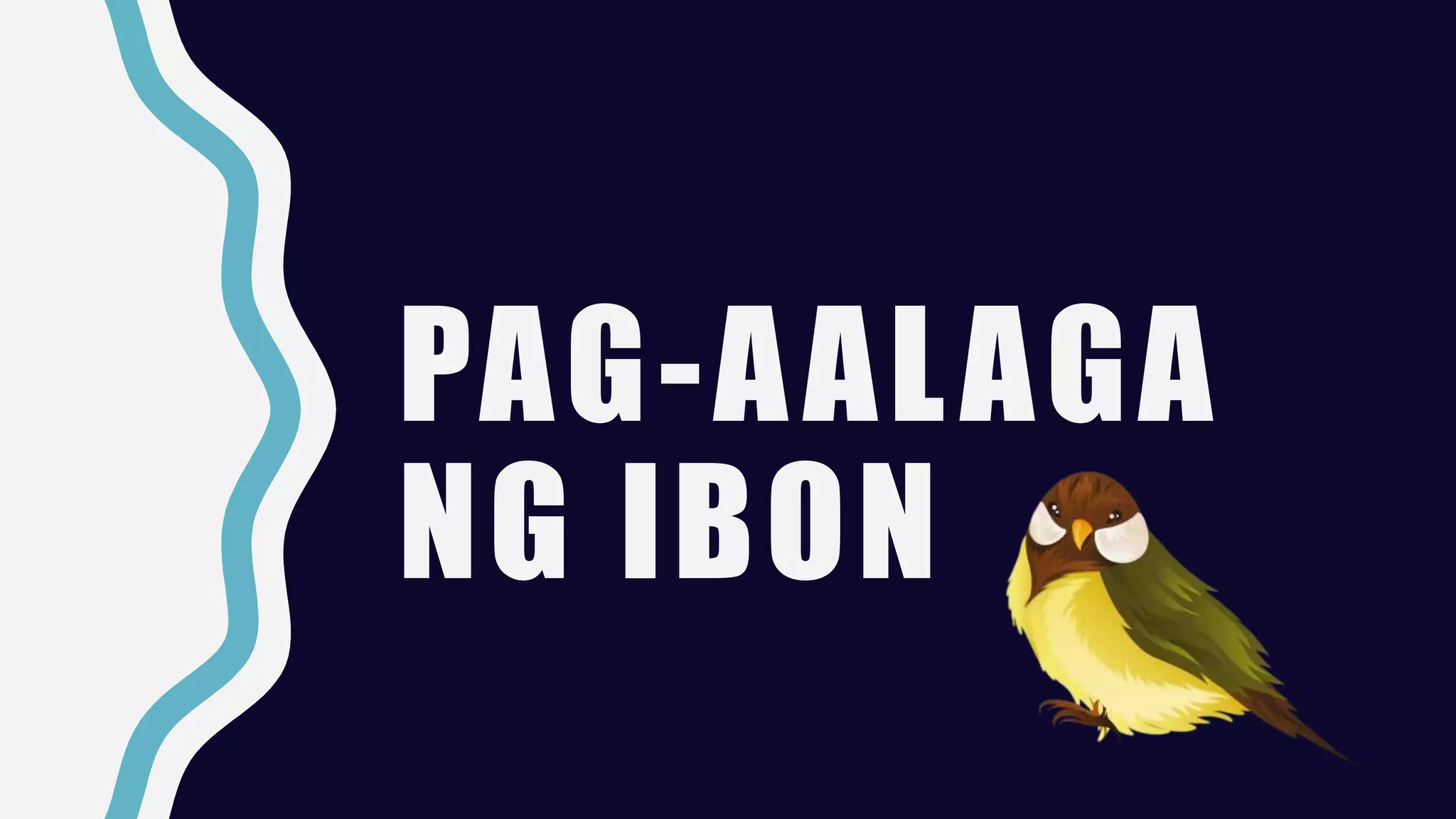 Pag-aalaga ng Hayop | PPTX