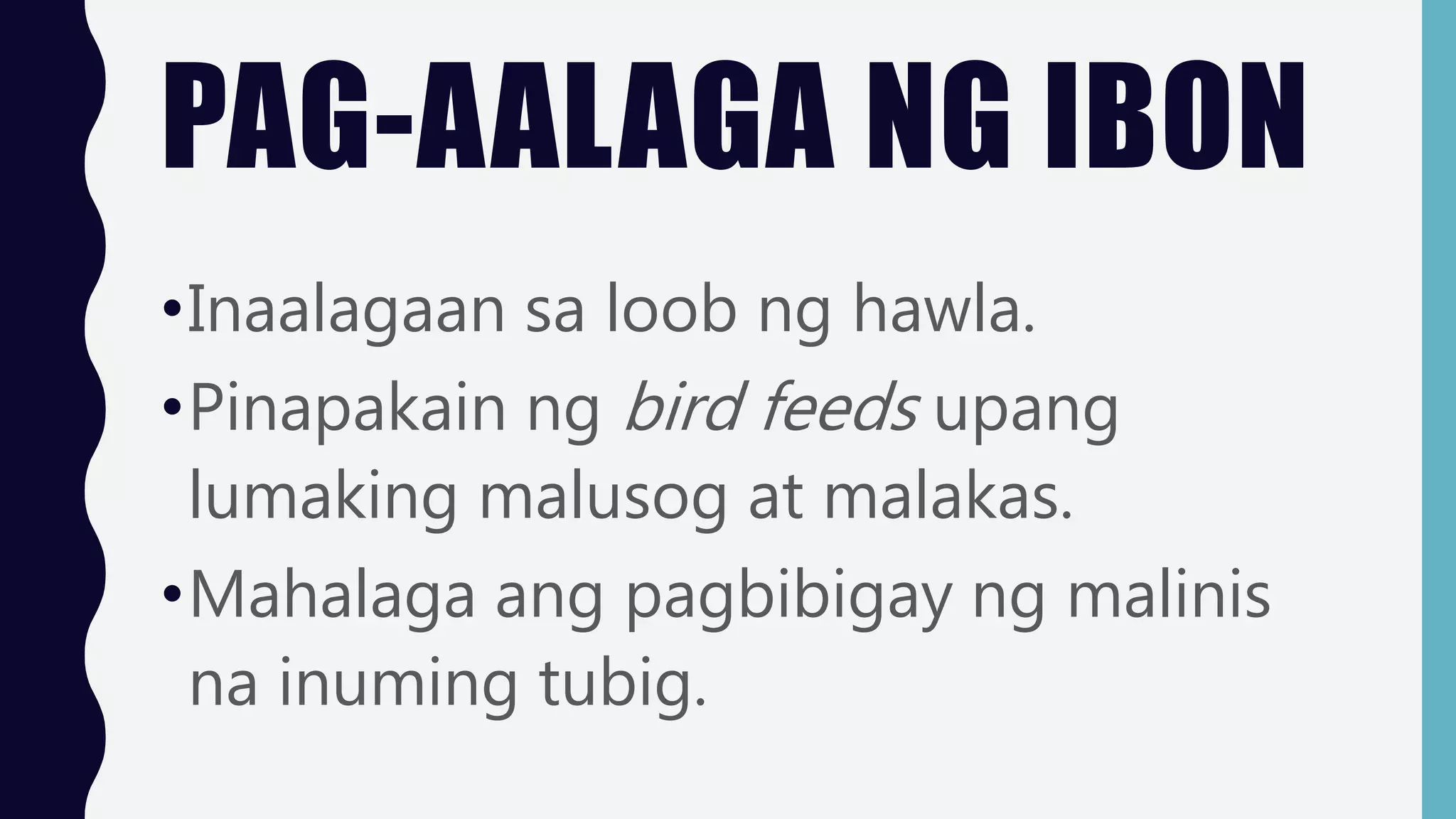 Pag-aalaga ng Hayop | PPTX