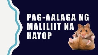 Pag-aalaga ng Hayop | PPTX