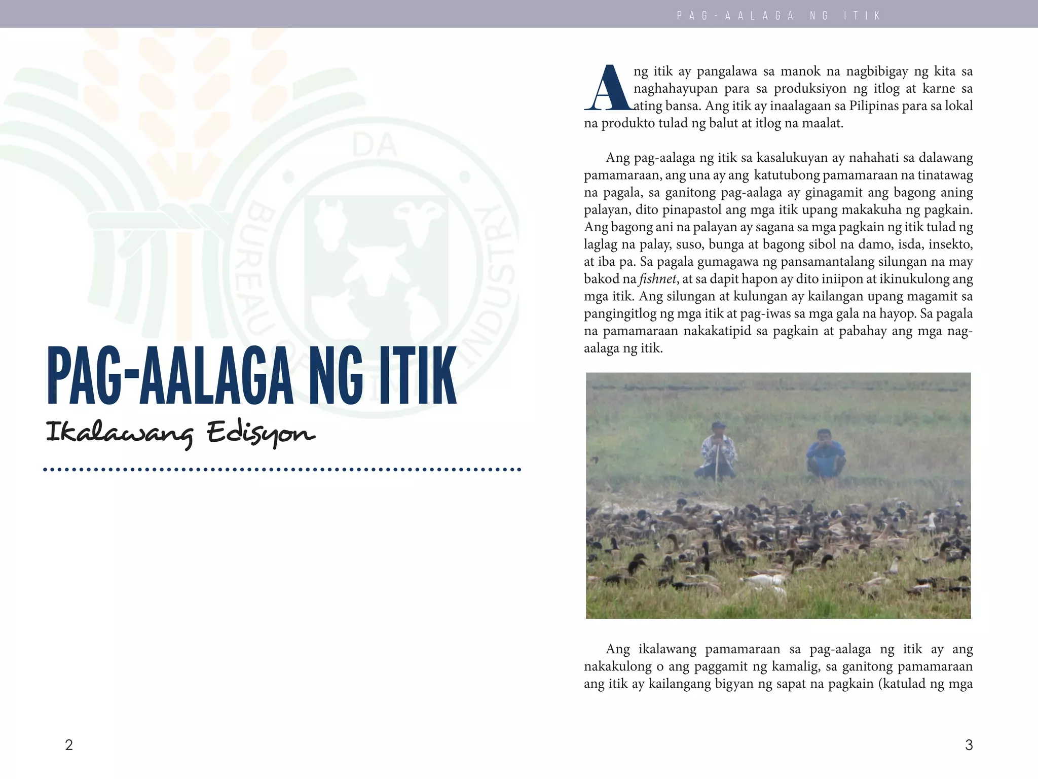 Pag-aalaga ng Itik, Second Edition | PDF