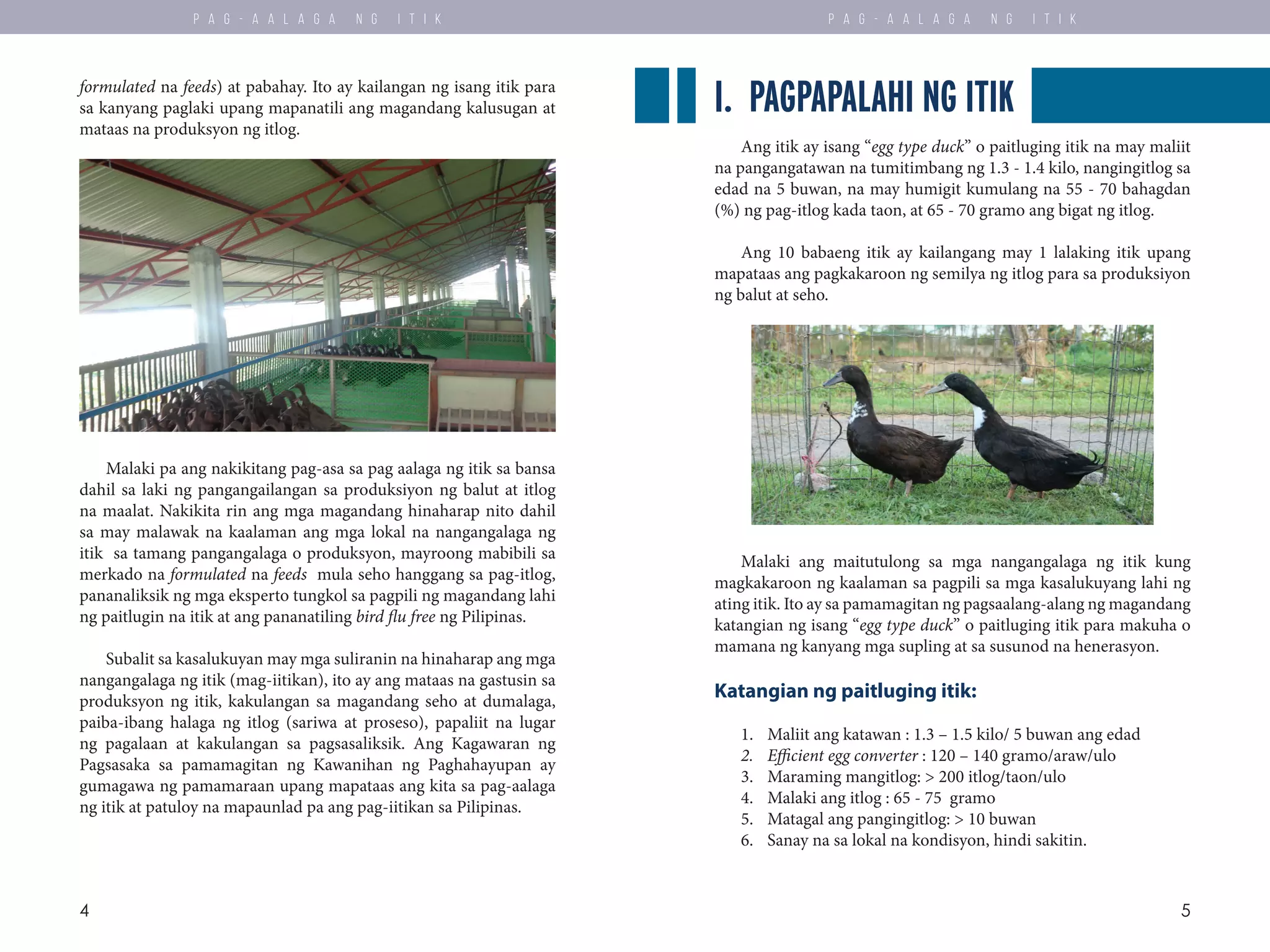 Pag-aalaga ng Itik, Second Edition | PDF