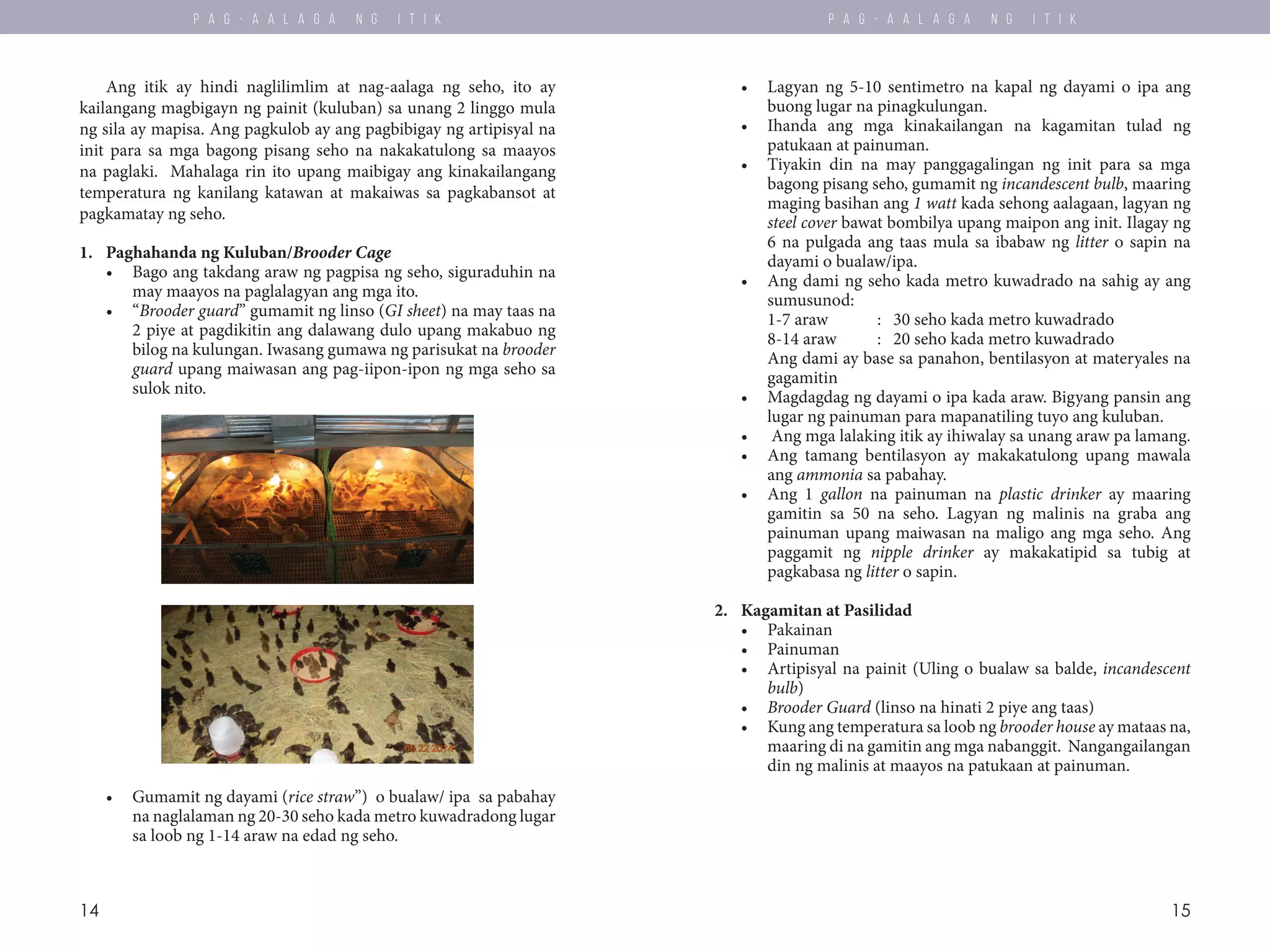 Pag-aalaga ng Itik, Second Edition | PDF