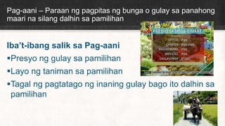 Pag aani at pagsasapamilihan ng mga produkto | PPTX