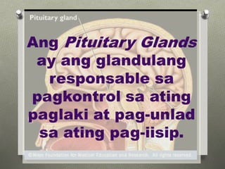 pagdadalaga at pagbibinata...........ppt