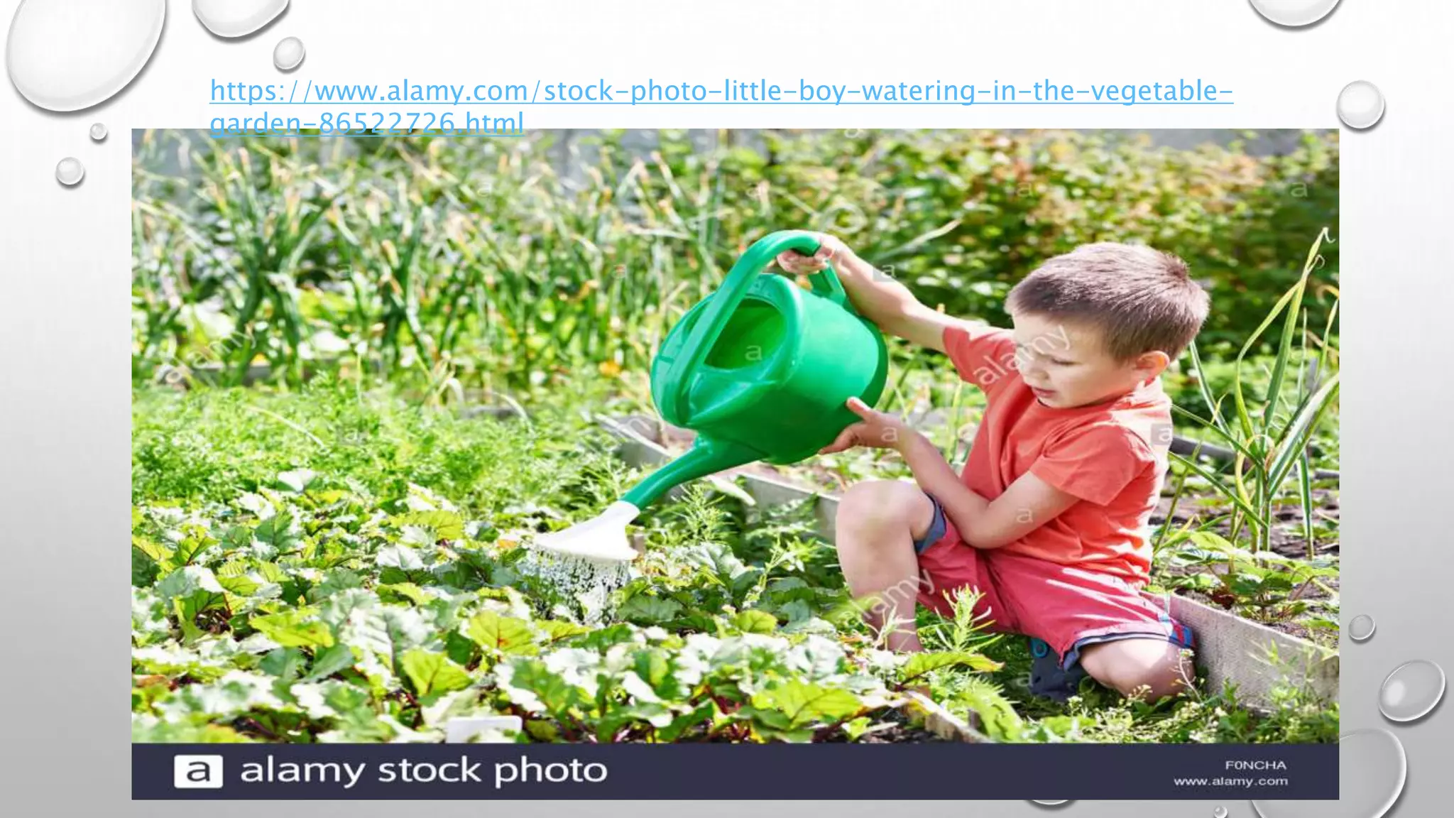 EPP 5- AGRI- Week2 Day1-Pagdidilig ng Halaman | PPTX