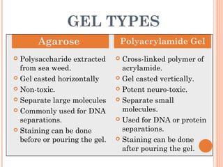 PAGE- Electrophoresis | PPT | Chemistry | Science