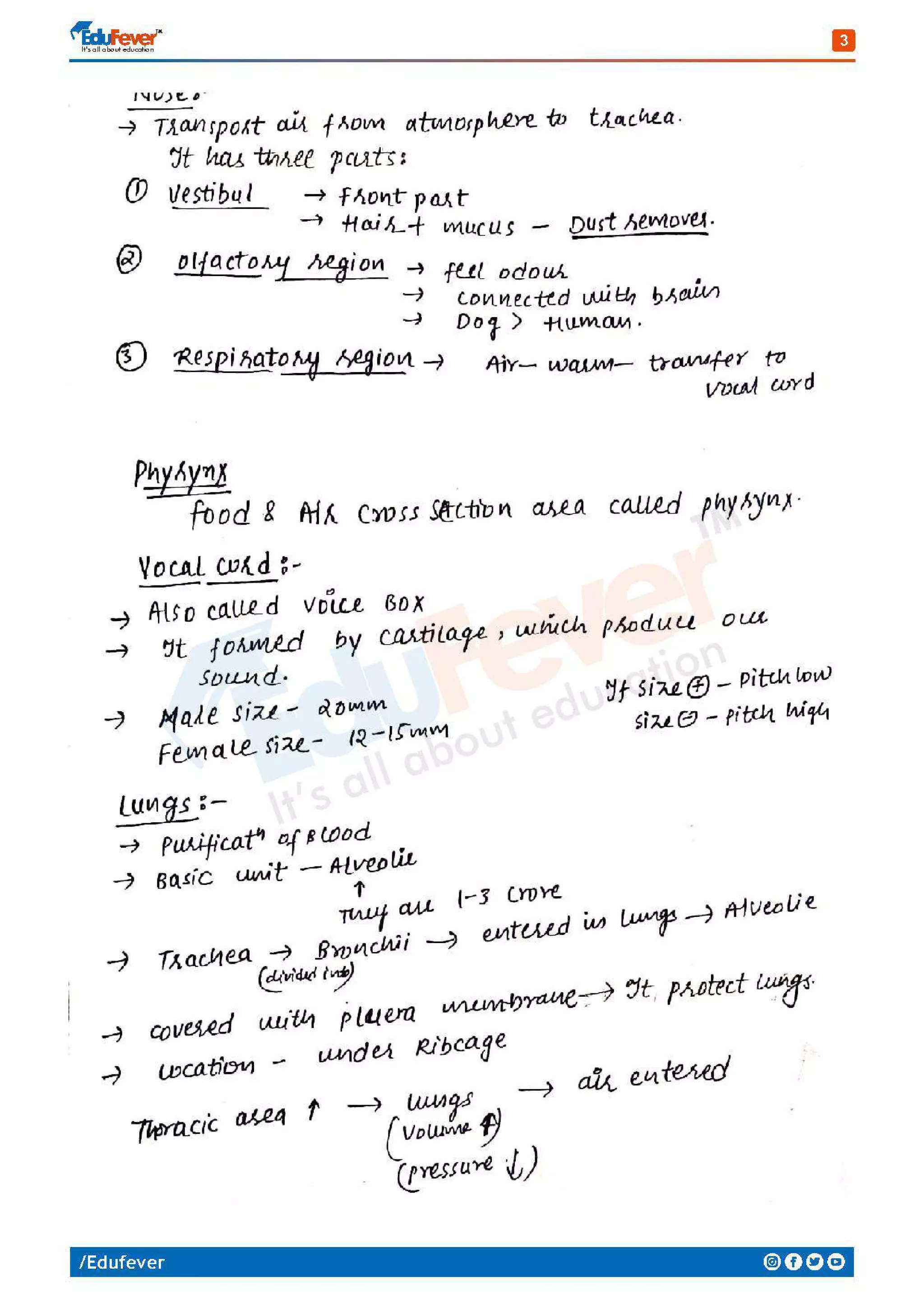 Respiration - Biology Handwritten Notes | PDF