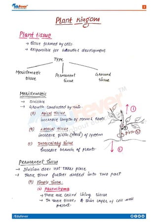 Plant Kingdom - Biology Handwritten Notes | PDF