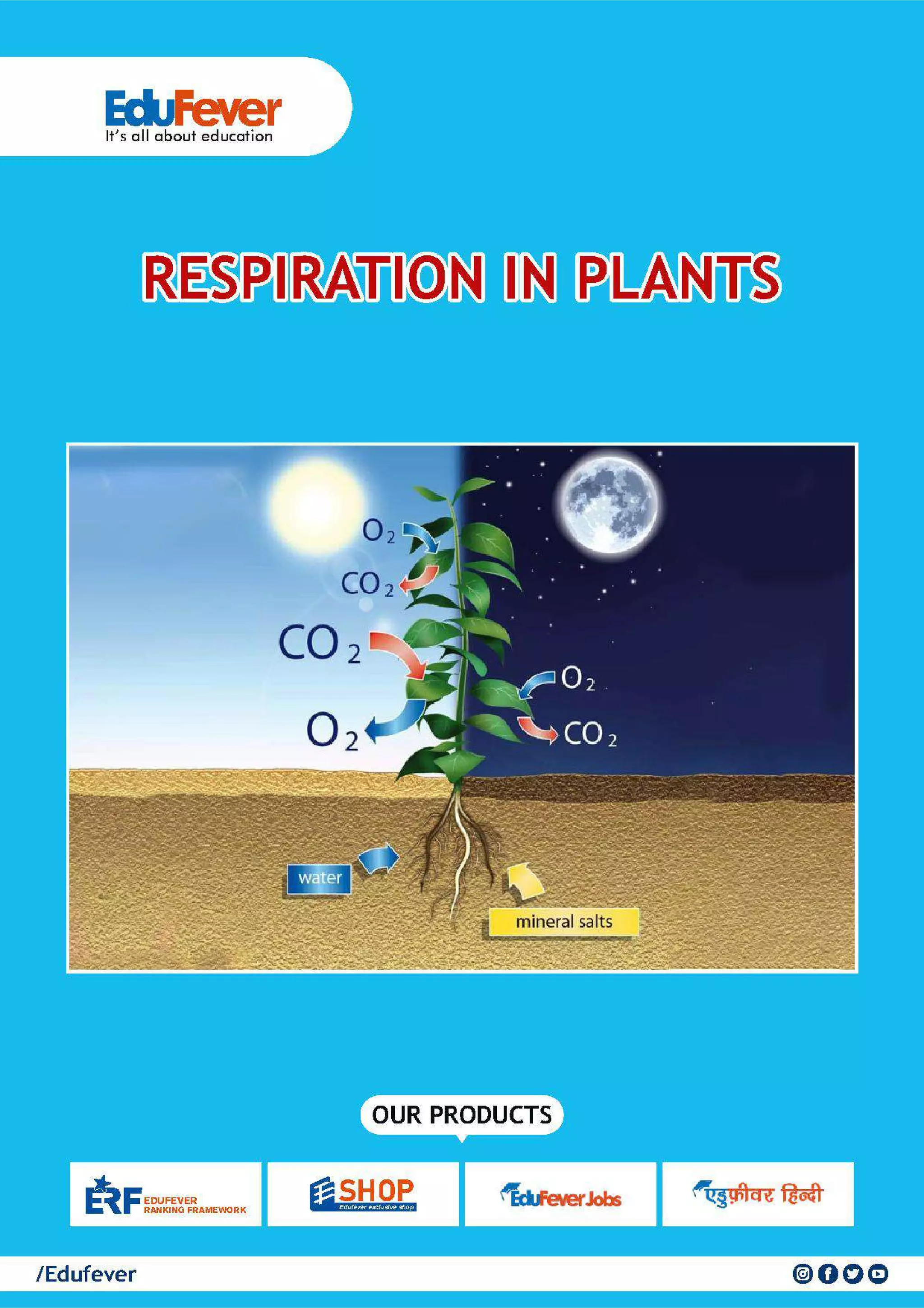 Respiration in Plants - Biology Revision Notes | PDF | Educational ...