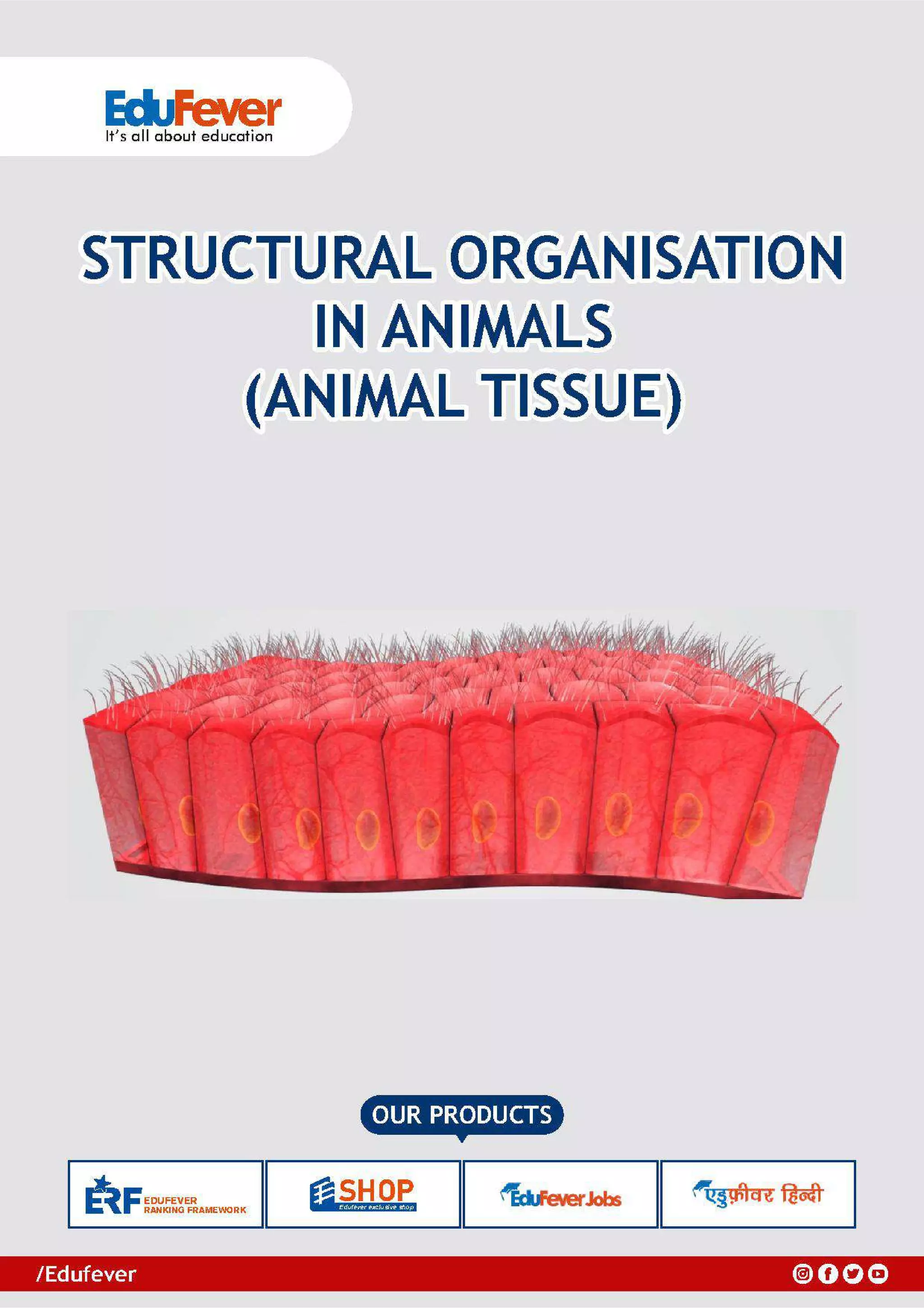 Structural Organisation in Animals - Biology Revision Notes | PDF