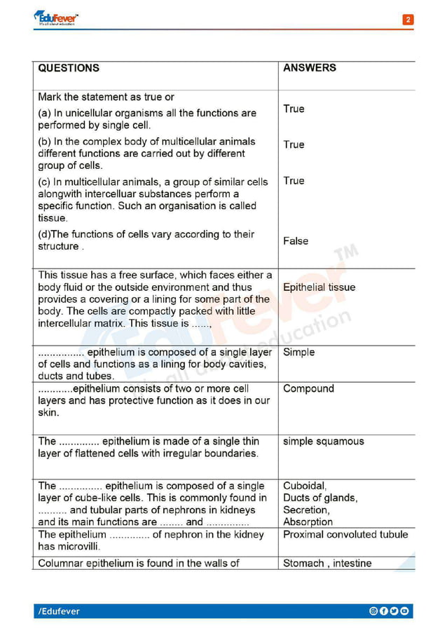 Structural Organisation in Animals - Biology Revision Notes | PDF