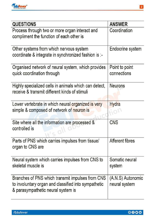 Neural Control & Coordination - Biology Revision Notes | PDF