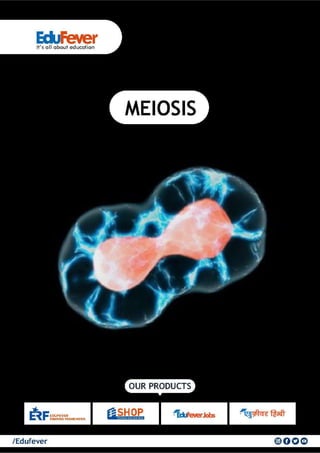 Meiosis - Biology Revision Notes | PDF