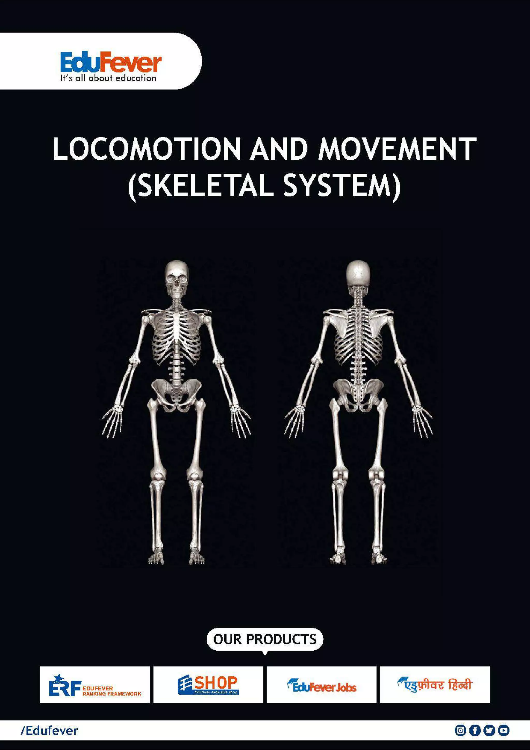 Locomotion and Movement (Skeletal System) - Biology Revision Notes | PDF