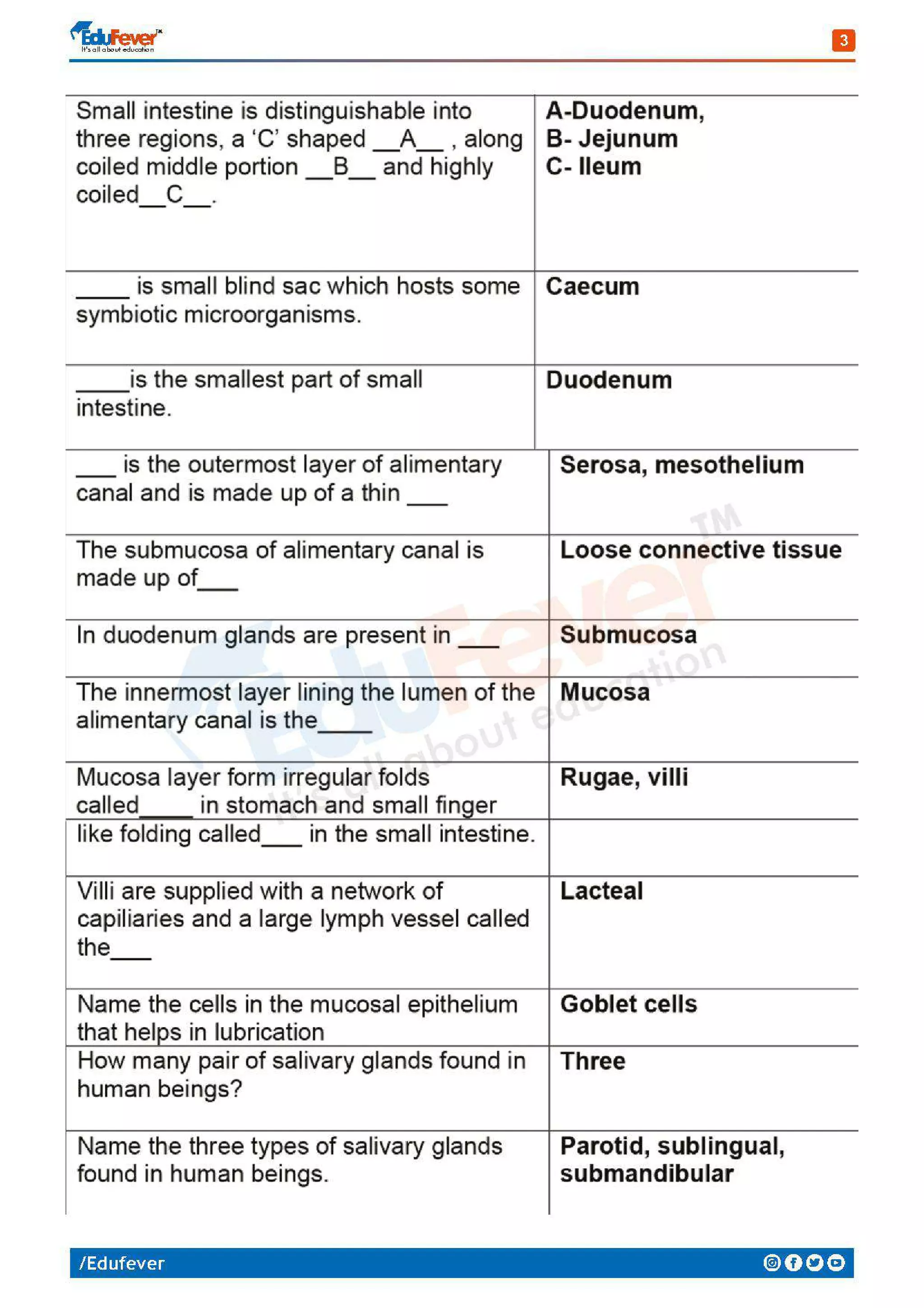Digestion and Absorption - Biology Revision Notes | PDF